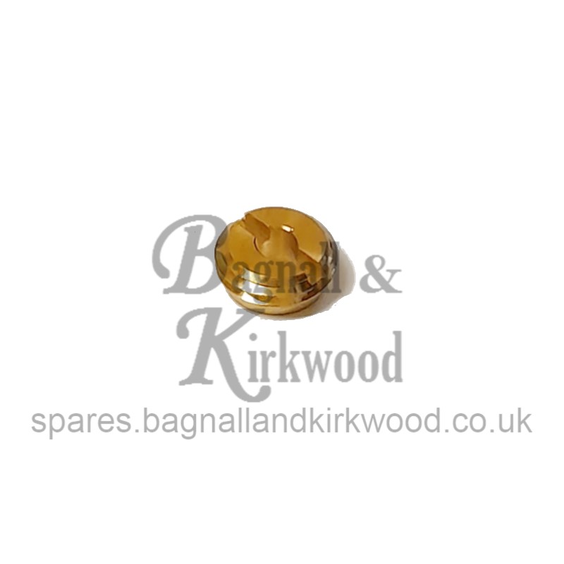 Daytate Air Wolf Main Valve o-ring Retainer Brass Screw - Bagnall and ...